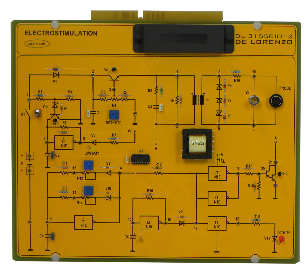 ELECTROSTIMULATION - De Lorenzo Training & Didactical Equipment